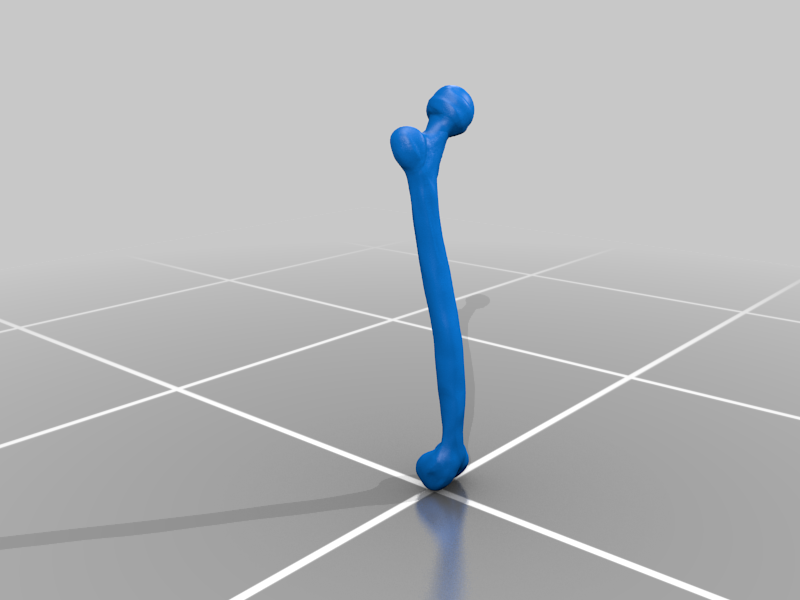 Free 3D file Human Femur・3D printer design to download・Cults