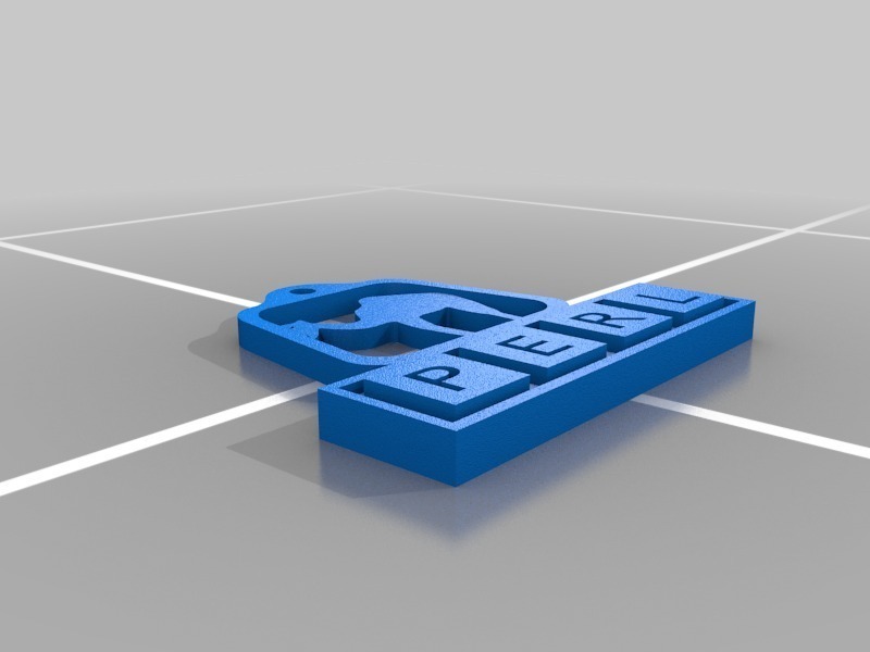 Free 3D file PERL programming conference gadget・3D printing design to ...