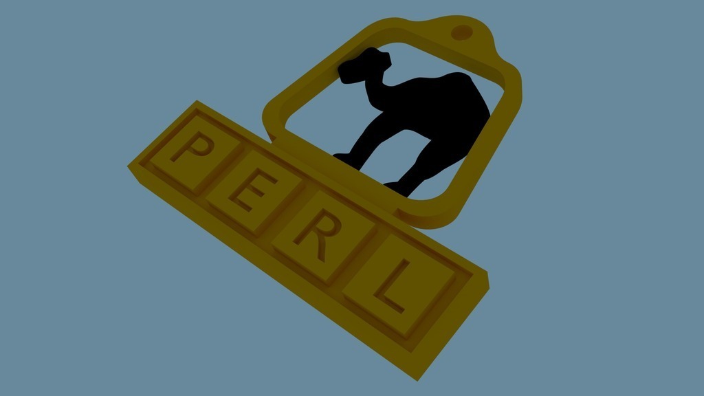 Free 3D file PERL programming conference gadget・3D printing design to ...