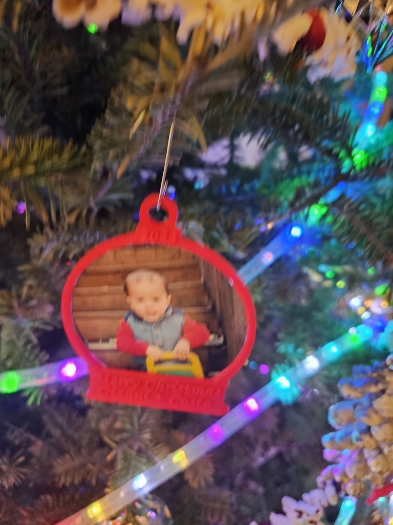 Free 3D file Custom snow globe memory ornament 🌨️・Object to download ...