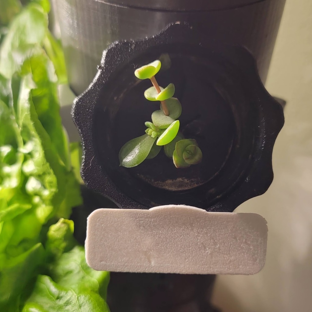 Free 3D file Clip on plant labels for hydroponic tower 🌿・3D printable ...