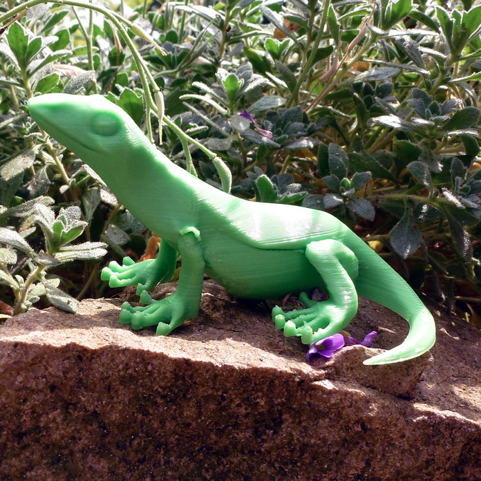 Free STL file Little Lizard 🦎・3D printer design to download・Cults