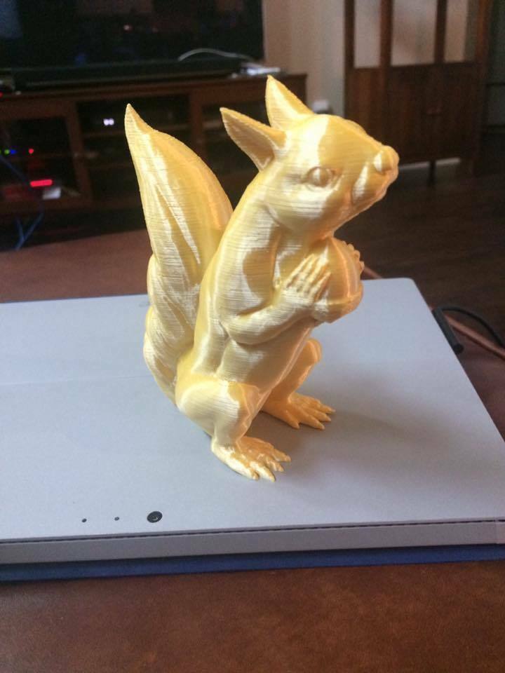 Free STL file Squizzle! A Supports Free Squirrel Sculpt・3D printable ...