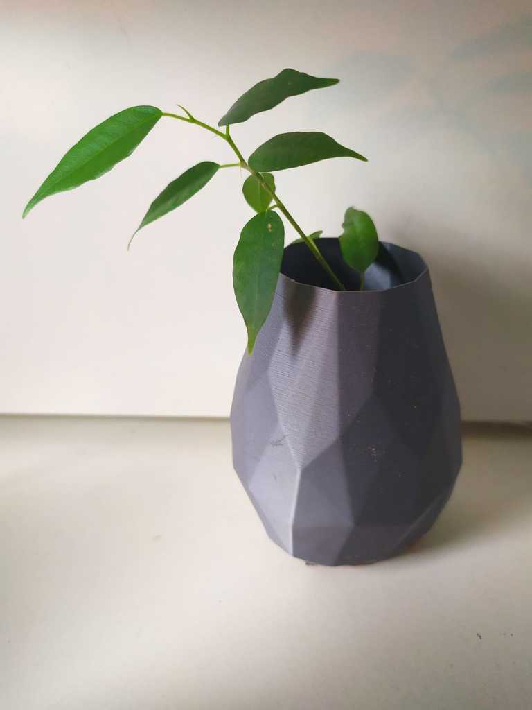 Free 3D file plant_pot・3D printer design to download・Cults