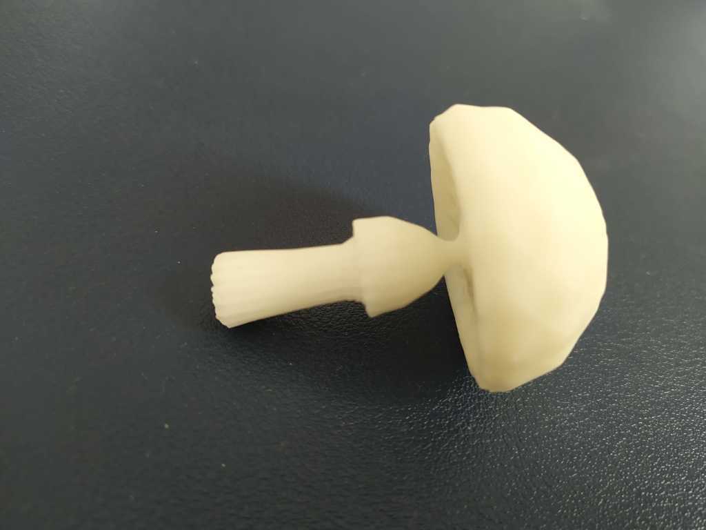 Free 3D file Mushroom・3D printing design to download・Cults