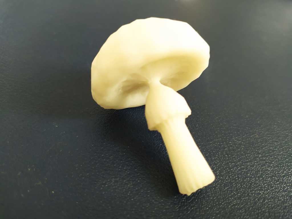 Free 3D file Mushroom・3D printing design to download・Cults