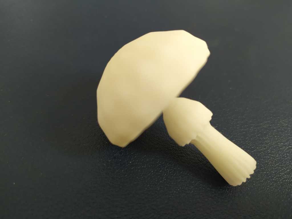 Free 3D file Mushroom・3D printing design to download・Cults