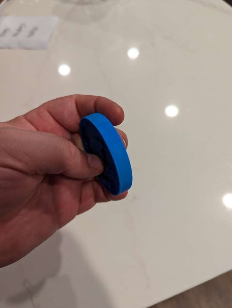Free 3D file Diaper Duty Decider Coin・3D print design to download・Cults