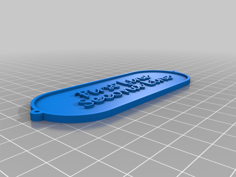Free 3D file TZT's Customizer Label with 2 lines・3D print design to ...