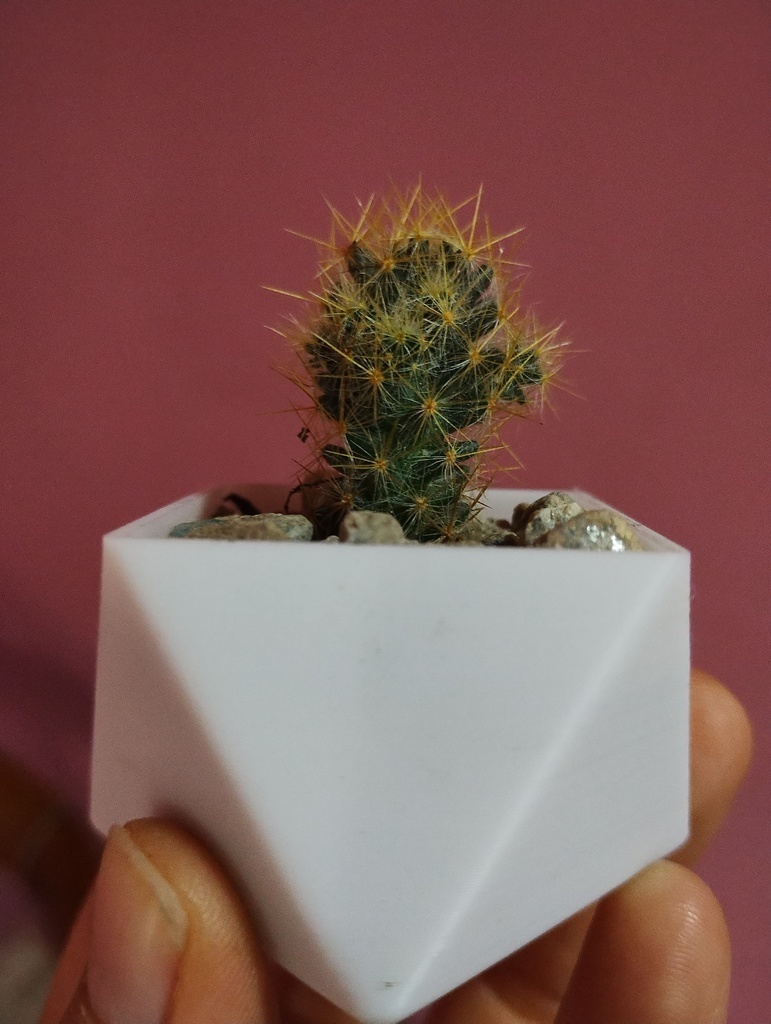 Free 3D file GEOMETRIC POT 🪴・Template to download and 3D print・Cults