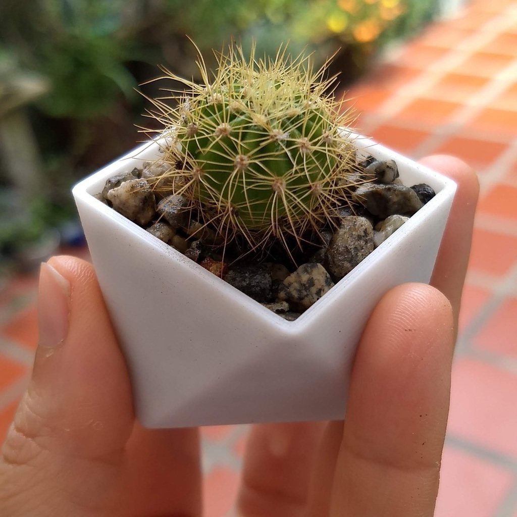 Free 3D file GEOMETRIC POT 🪴・Template to download and 3D print・Cults