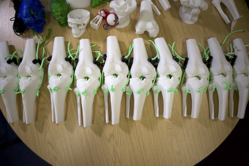 Free 3D file Femur, tibia and fibula with tunnels for cord to replicate ...