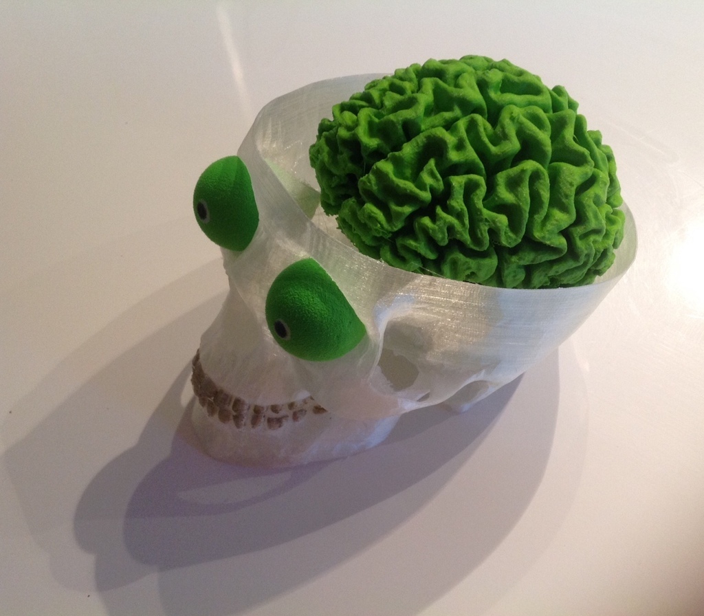 Free 3D file Skull with brain・Model to download and 3D print・Cults