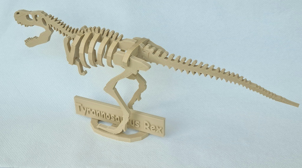Free 3D file T-Rex no Frame・3D printer design to download・Cults