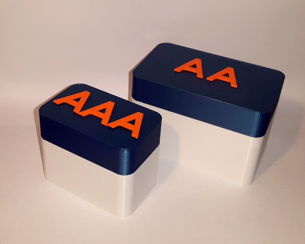 Free 3D file AA and AAA battery storage box with lid・3D print design to download・Cults