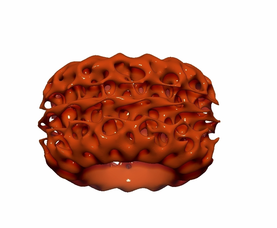 Free 3D file Coral Math 🪸・3D printer model to download・Cults