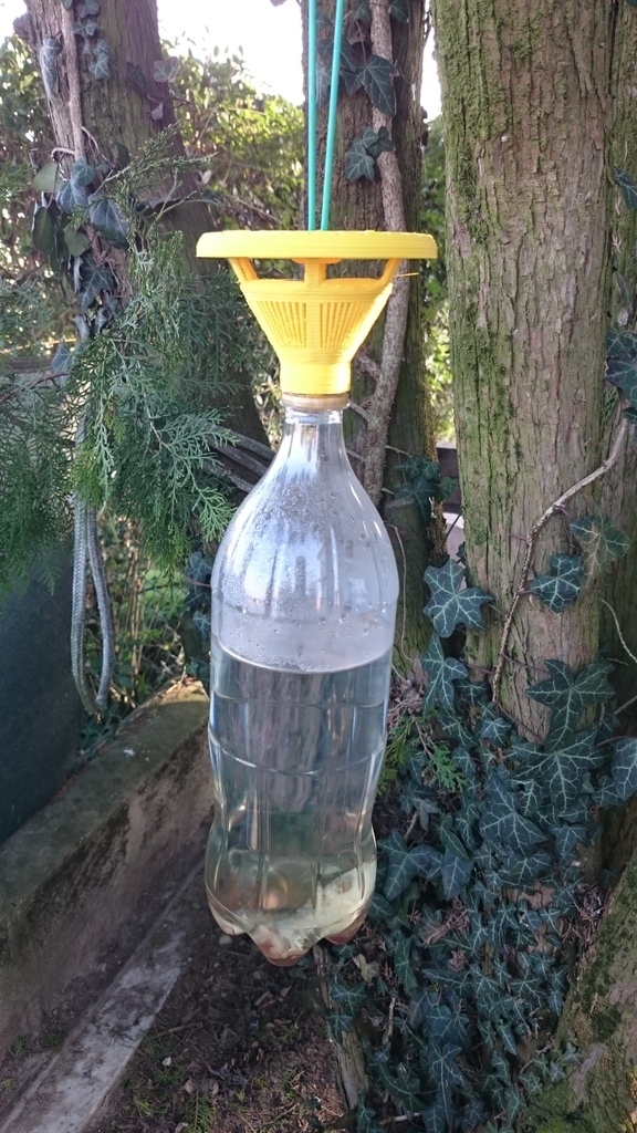 Free 3D file Reusable ECO FLY and WASP Trap - Use a soda bottle to trap ...