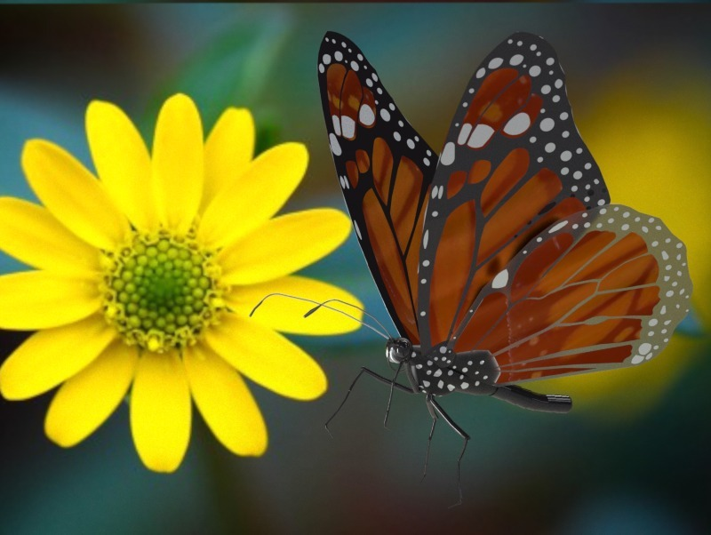 Free 3D file Monarch Butterfly created in PARTsolutions 🦋・3D printer ...