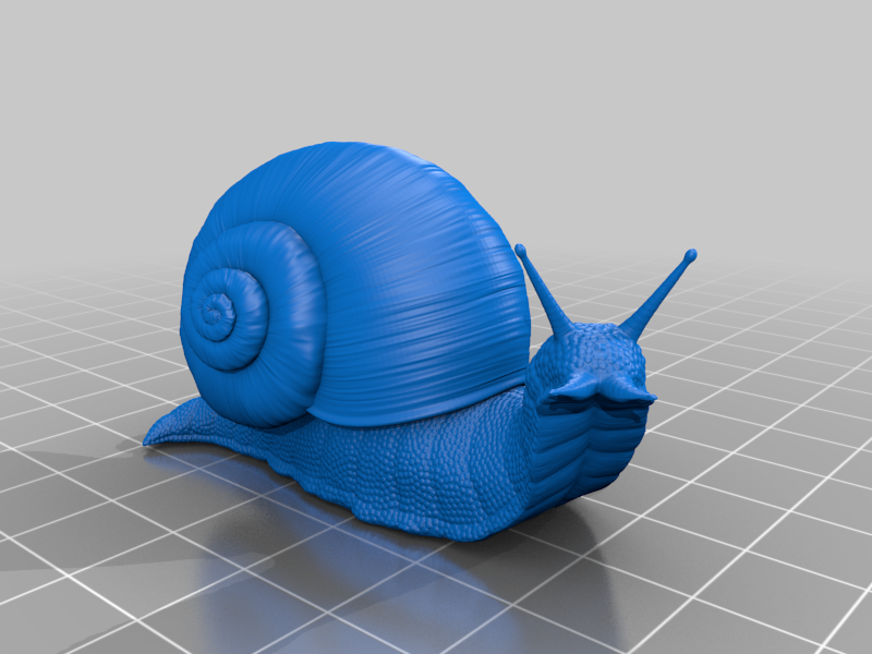 Free 3D file giant snail 🐌・3D printing design to download・Cults