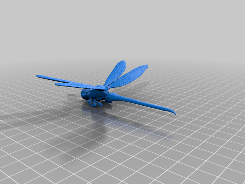 Free 3D file Giant Dragonfly 🧞‍♂️・3D printable model to download・Cults