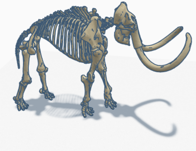 Free 3D file Woolly Mammoth Skeleton 🦣・3D printable object to download ...