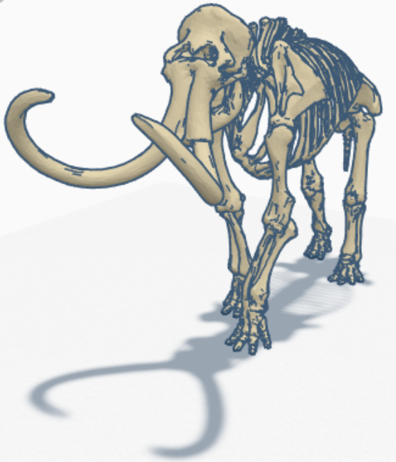 Free 3D file Woolly Mammoth Skeleton 🦣・3D printable object to download ...