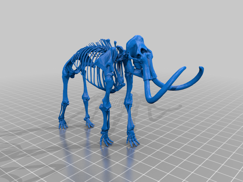 Free 3D file Woolly Mammoth Skeleton 🦣・3D printable object to download ...