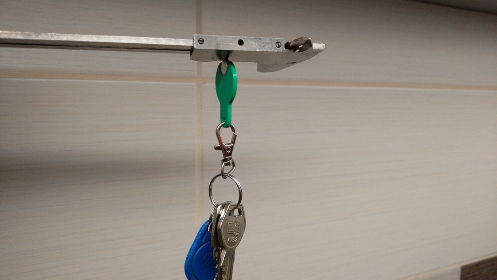 Free 3D file Magnetic key holder and shopping trolley token 2 in 1 tool ...