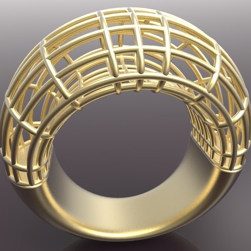 Download free 3D printer model Ring Cage ・ Cults