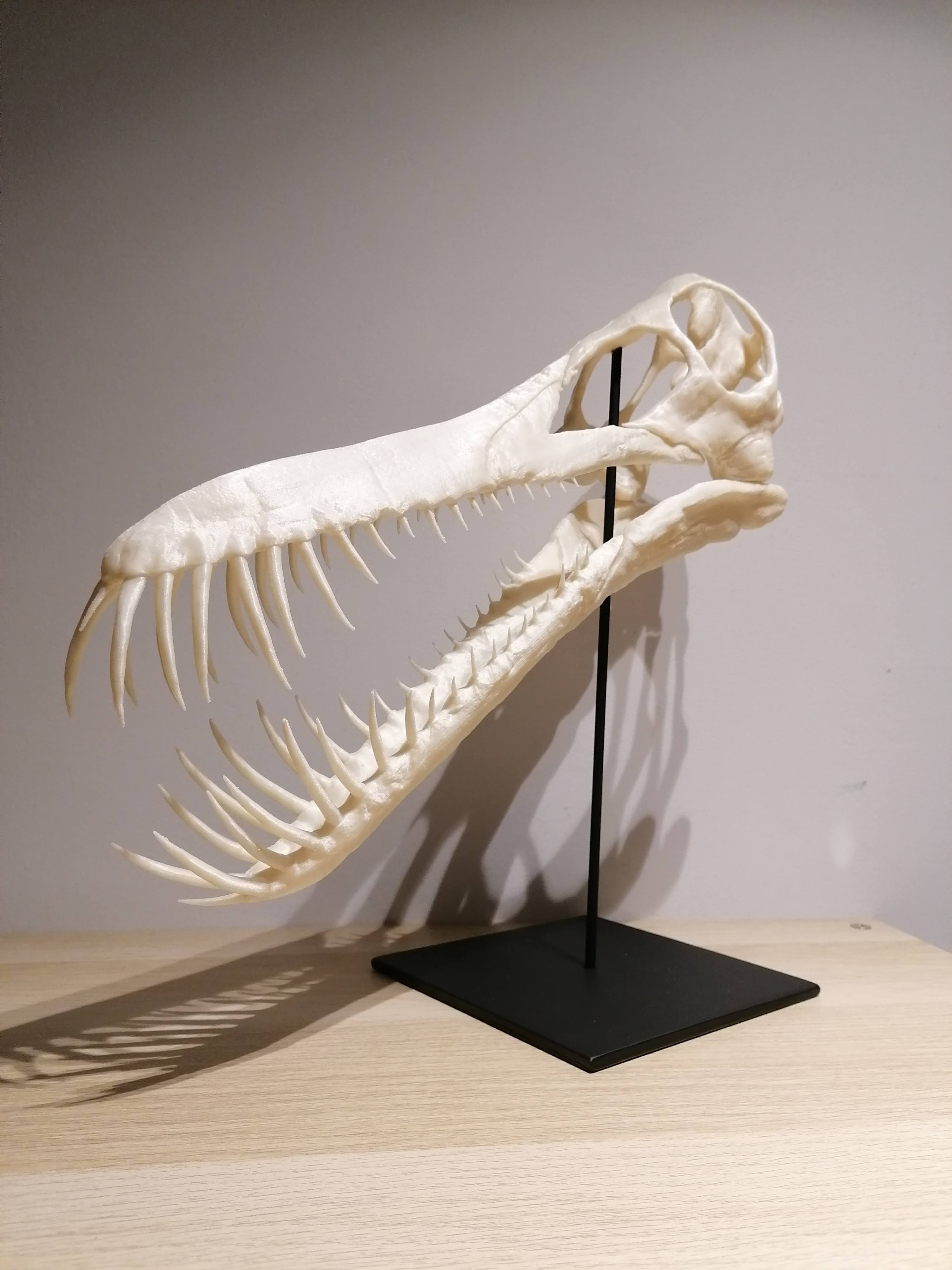 STL file Pterosaur skull - Boreopterus 💀・3D printable design to ...