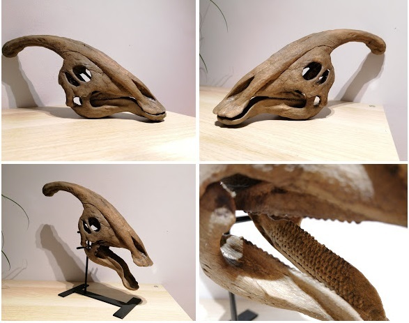 STL file Dinosaur skull - Parasaurolophus 🦖・3D print design to download ...