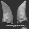 Download OBJ file Dinosaur Tooth - Tyrannosaurus indet. • 3D printable ...