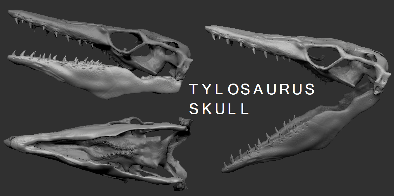 STL file Mosasaurus Skull 3D Print 💀・3D printing design to download・Cults