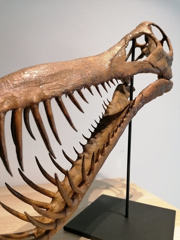 STL file Pterosaur skull - Boreopterus 💀・3D printable design to ...