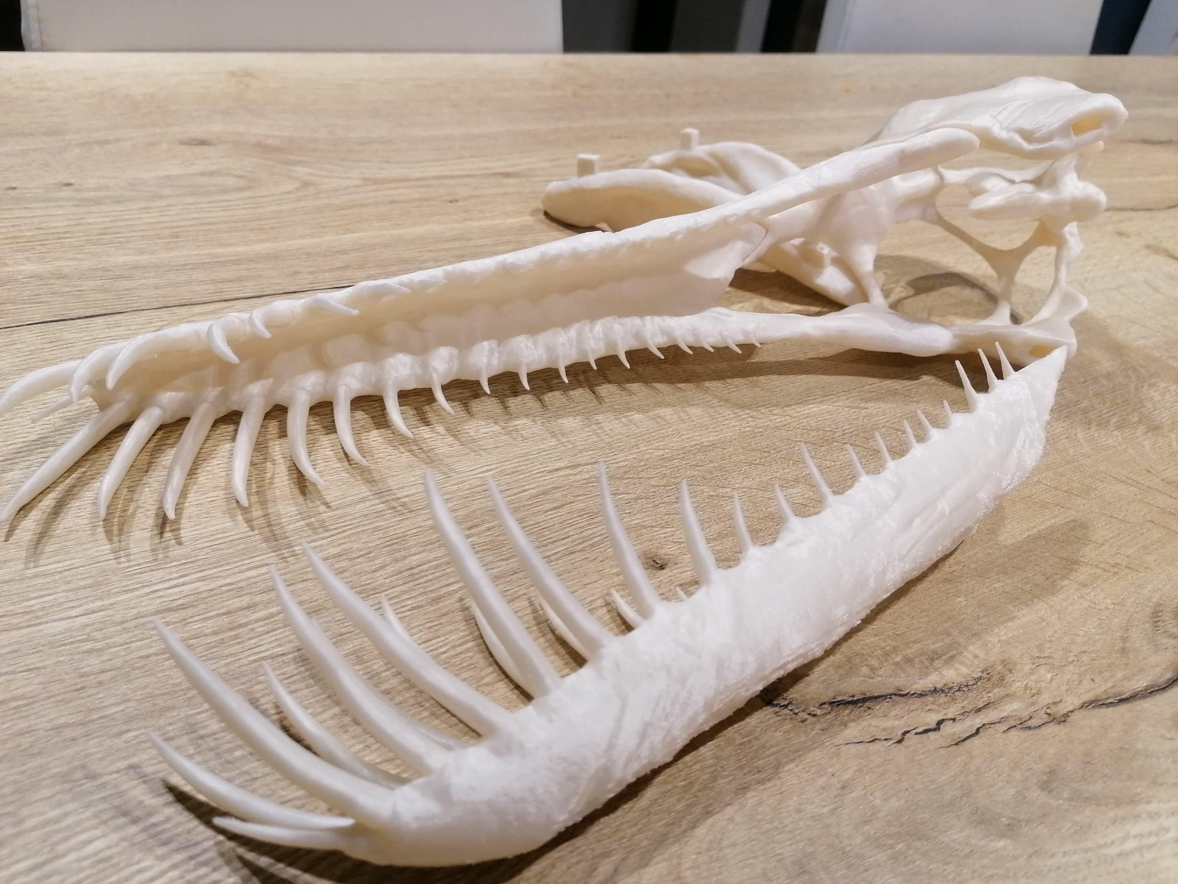 STL file Pterosaur skull - Boreopterus 💀・3D printable design to ...