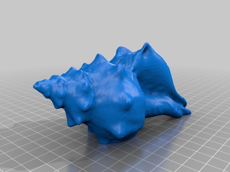 Free 3D file seashell・3D printing idea to download・Cults