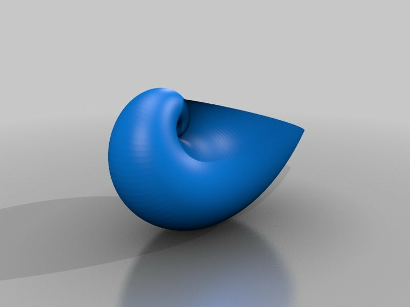 Free STL file Shell 01・3D printing model to download・Cults