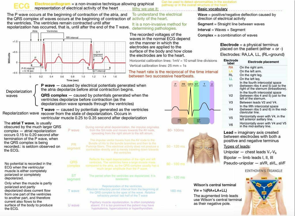 Free STL file ECG 3D Visualizer 💜・3D print model to download・Cults