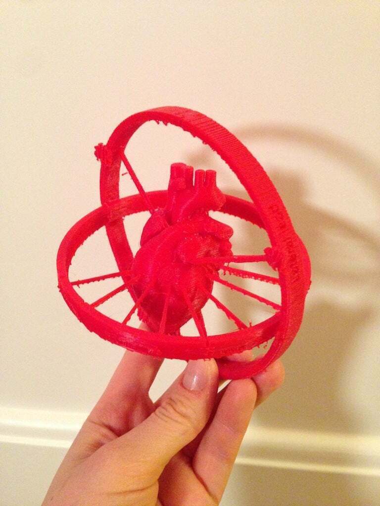 Archivo STL gratis Visualizador 3D de ECG 🎒・Modelo de impresión 3D para ...