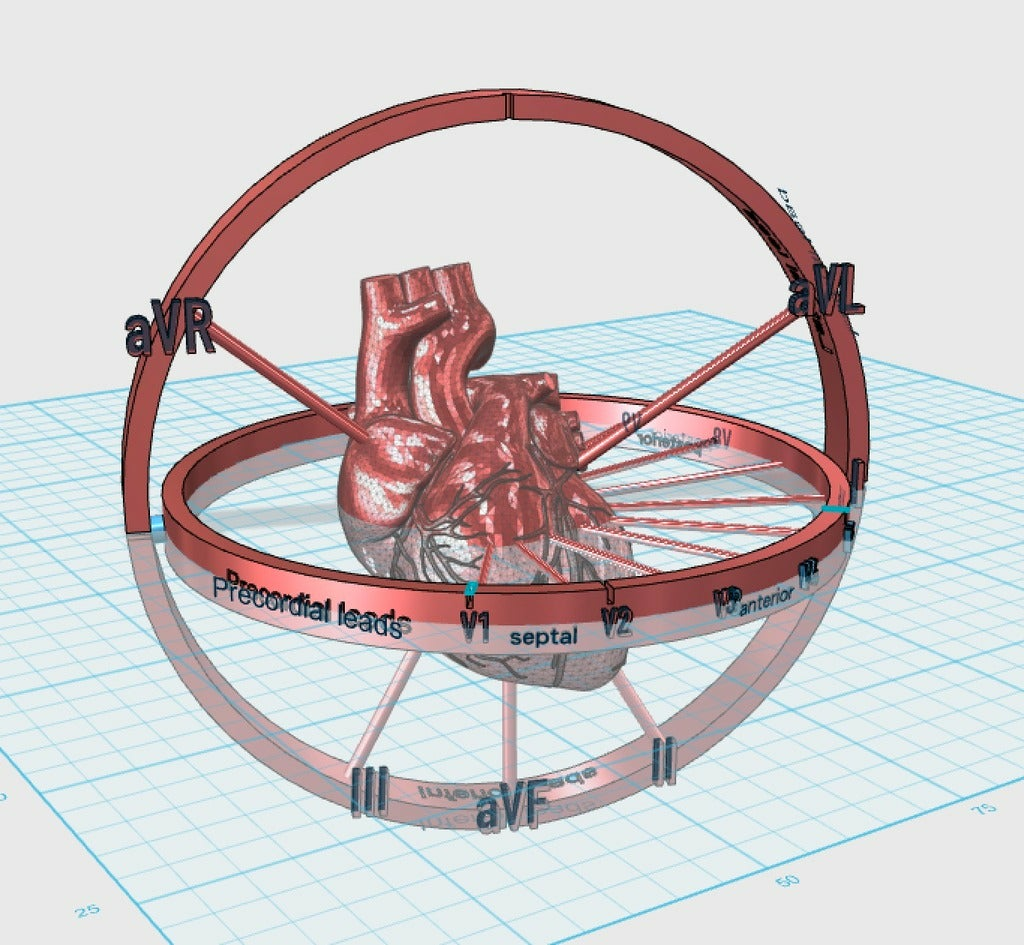 Free STL file ECG 3D Visualizer 💜・3D print model to download・Cults