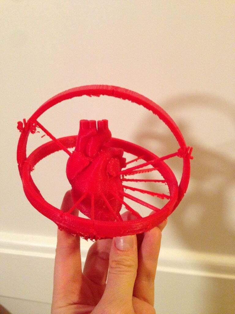 Free STL file ECG 3D Visualizer 💜・3D print model to download・Cults