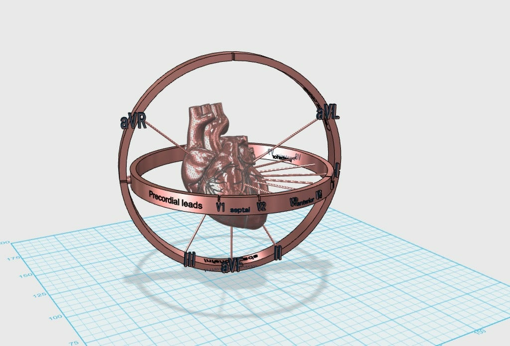 Free STL file ECG 3D Visualizer 💜・3D print model to download・Cults