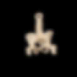 Download free STL files Spine - pelvis keychain ・ Cults
