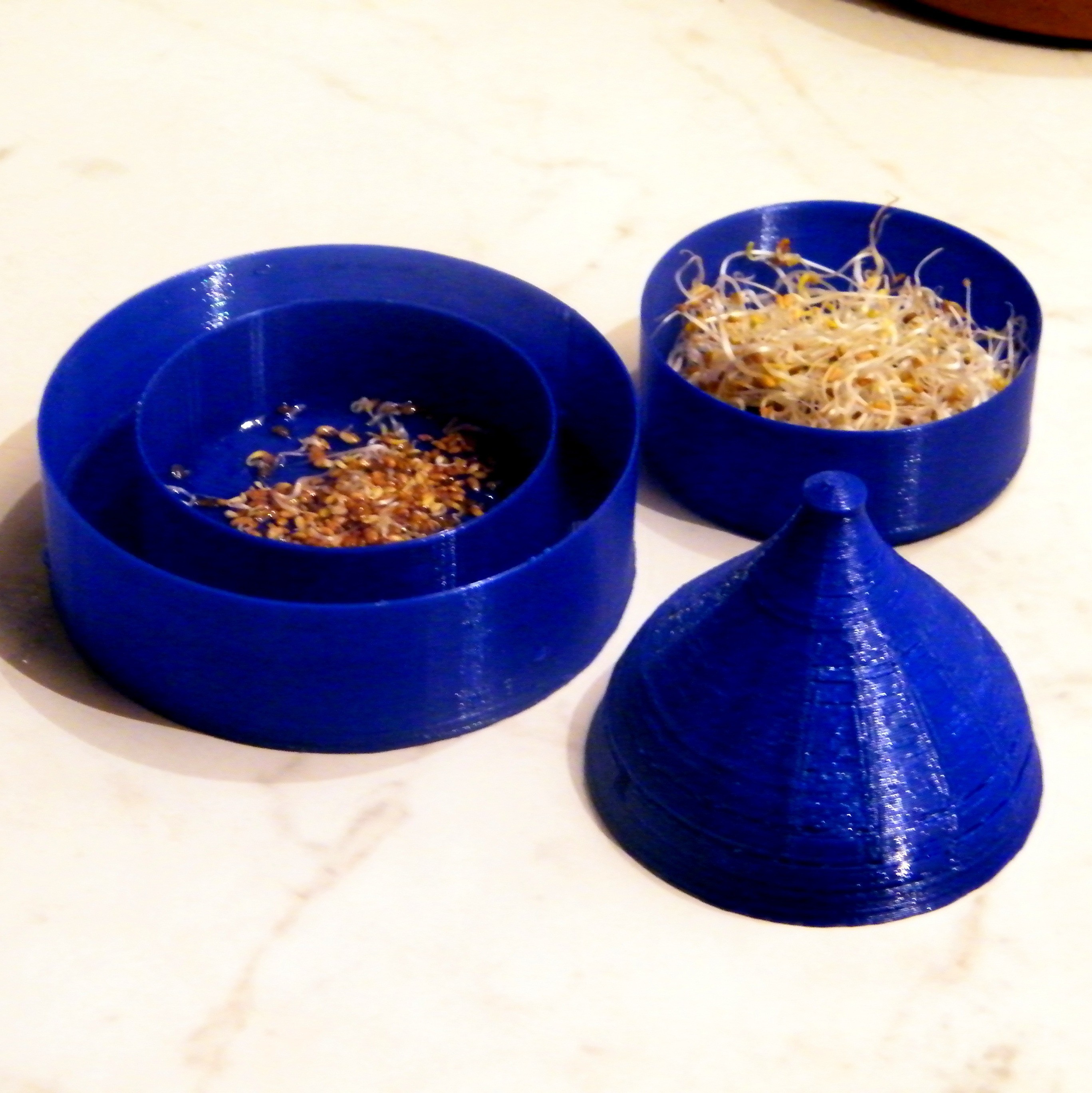 STL file Tray Seed Sprouter・3D printing model to download・Cults
