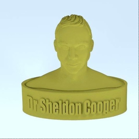 Télécharger fichier STL Sheldon Cooper • Design pour imprimante 3D ・ Cults