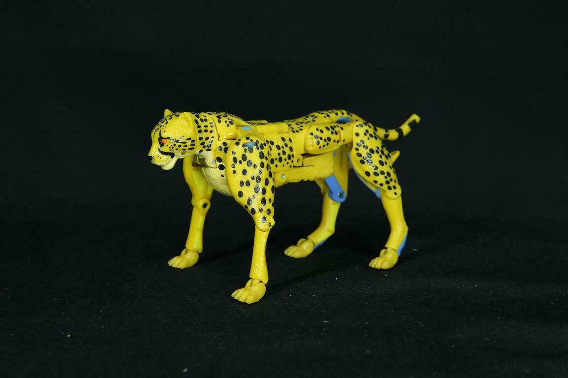 Free 3D file Gap Fillers for Transformers WFC Kingdom Cheetor 🤖・3D ...