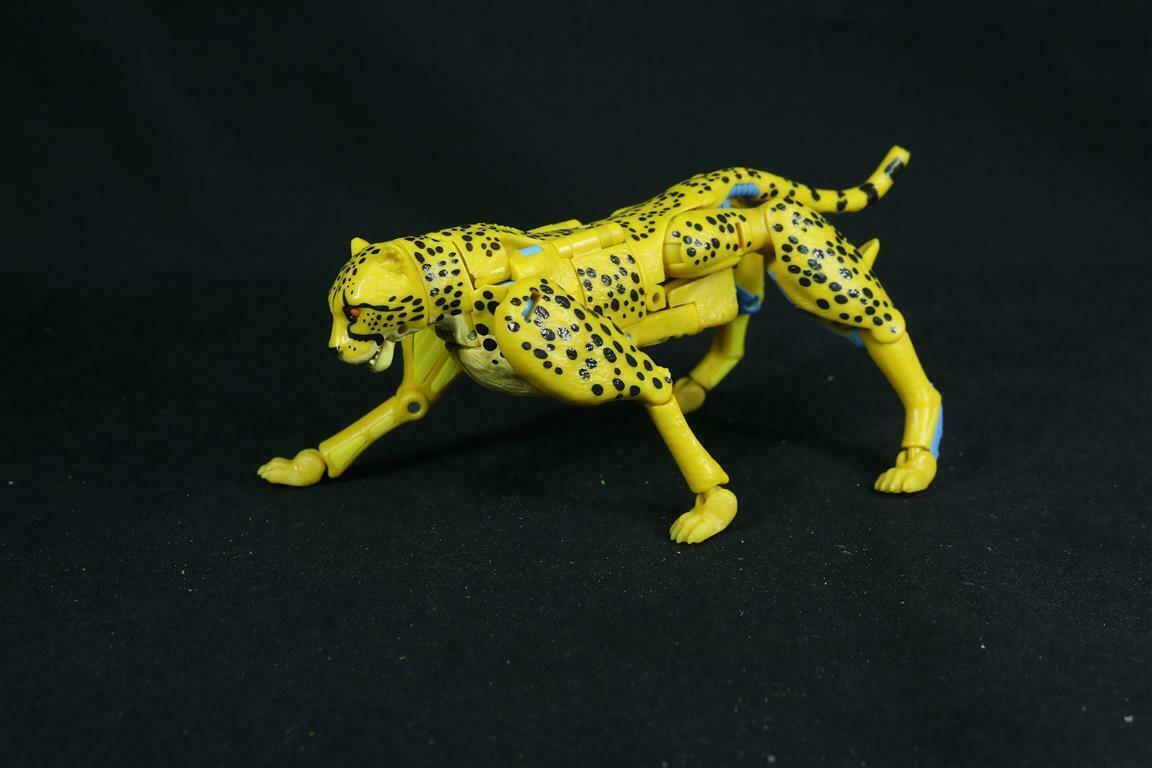 Free 3D file Gap Fillers for Transformers WFC Kingdom Cheetor 🤖・3D ...