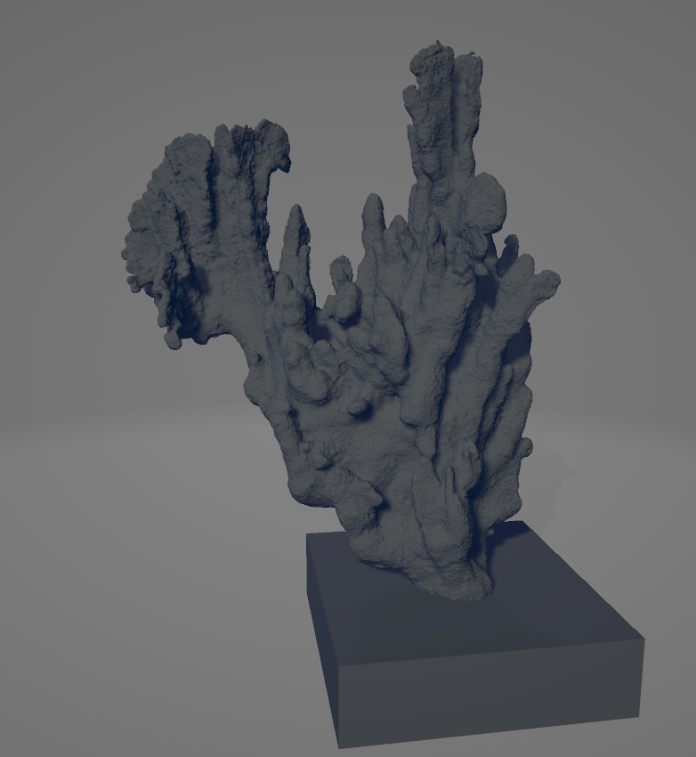 STL file Coral・3D printer design to download・Cults