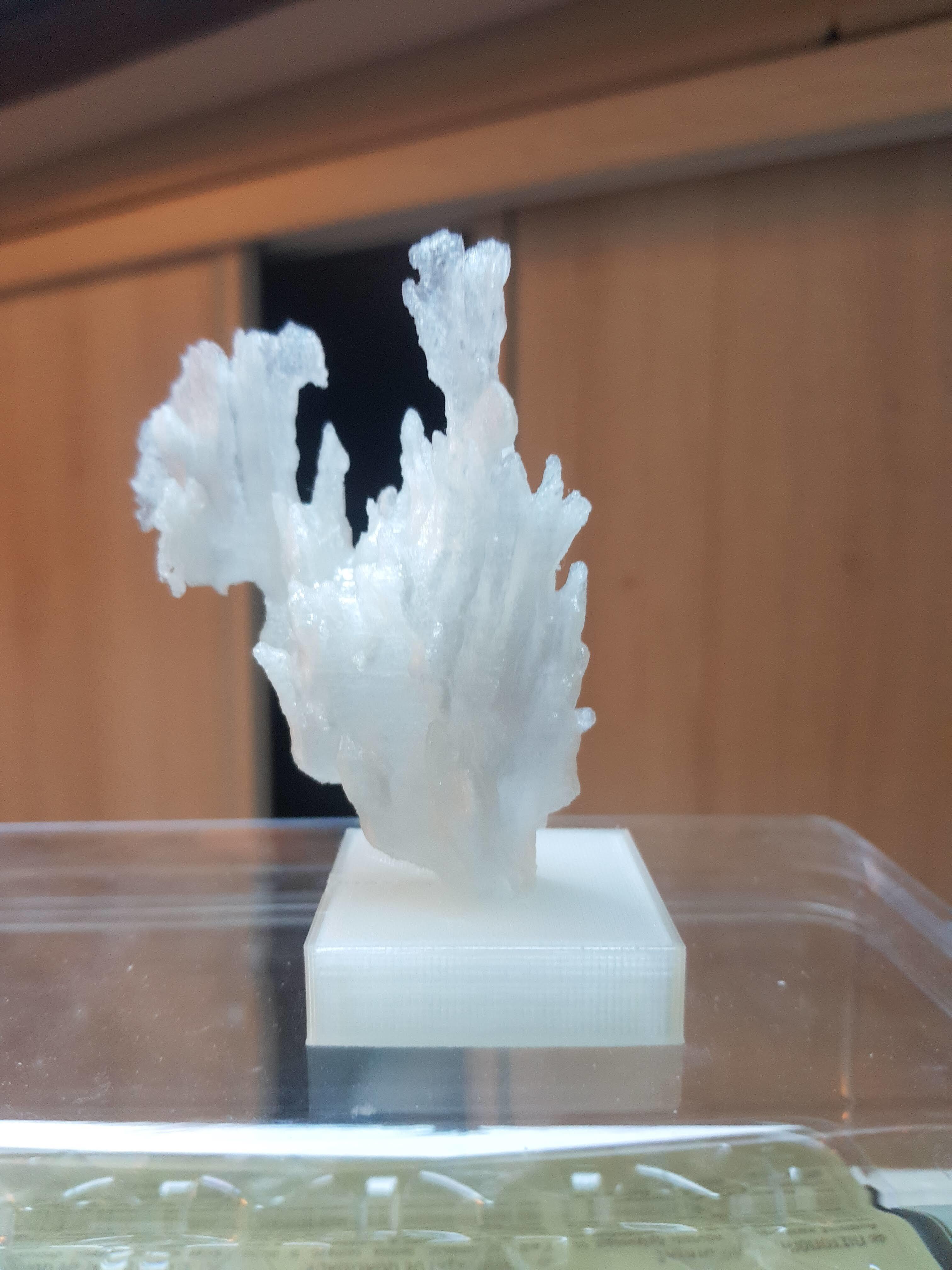 STL file Coral・3D printer design to download・Cults