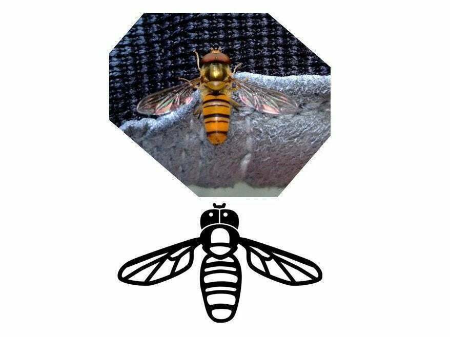Free SVG file Hoverfly (Episyrphus balteatus) Illustrator/SVG file・3D ...
